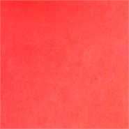 20″ x 30″ Waxed Tissue Single Color – Pangary Floral Supply Inc